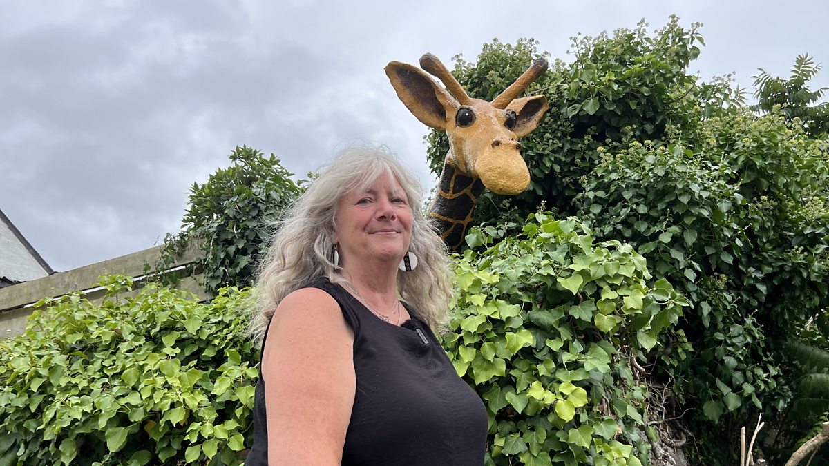BBC Radio Cornwall - James Churchfield, Why is there a giraffe in Crowlas?