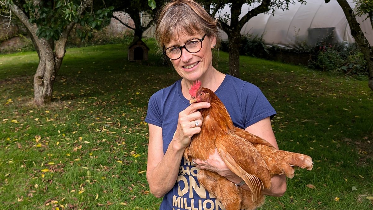 BBC Radio Devon - John Acres, Rick Edwards sits in (29/08/2024), The ...