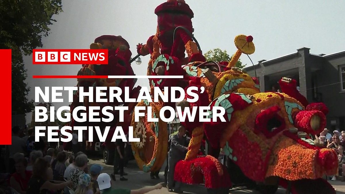BBC News - Netherlands' Biggest Flower Festival