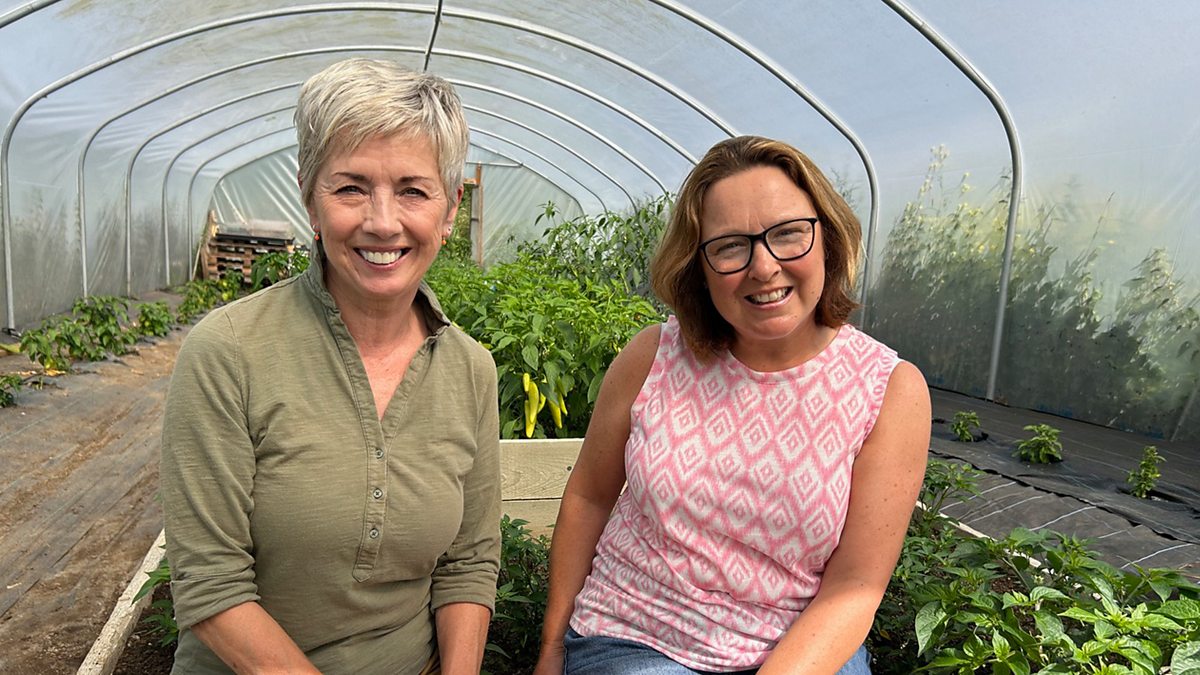 BBC Radio 4 - On Your Farm, Hot Headed Farming