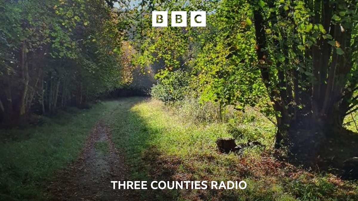 BBC Three Counties Radio - BBC Three Counties Radio, Making music from ...