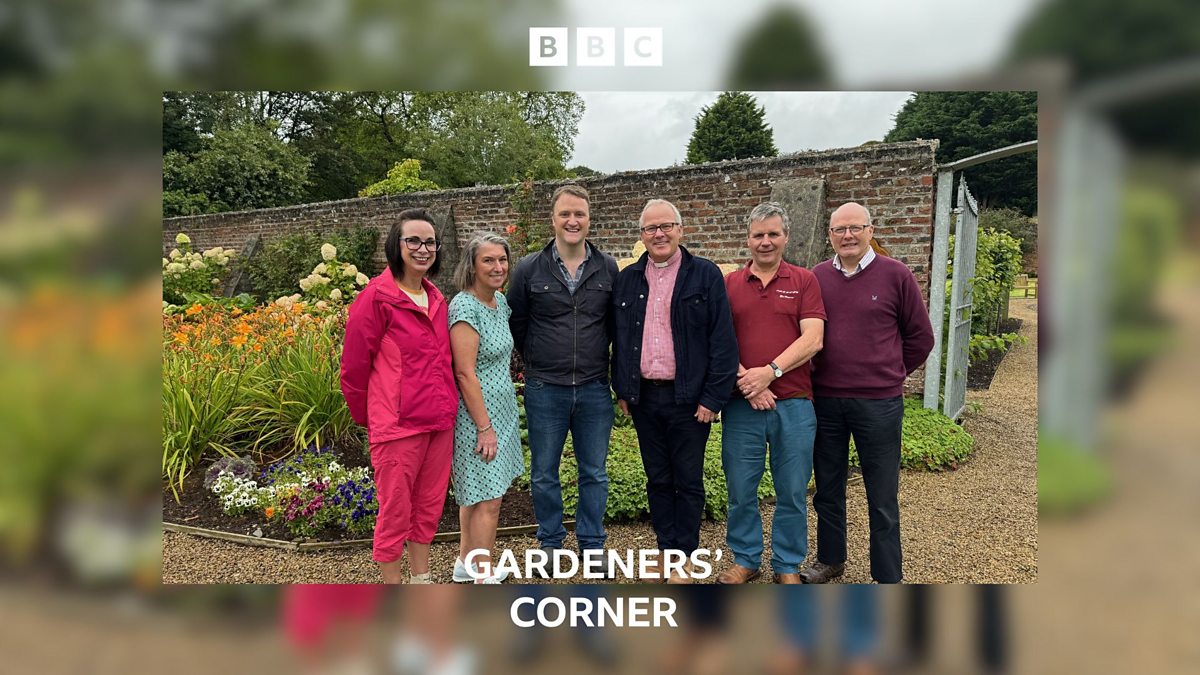 BBC Radio Ulster - Gardeners' Corner, Perfect plants for pots, the ...