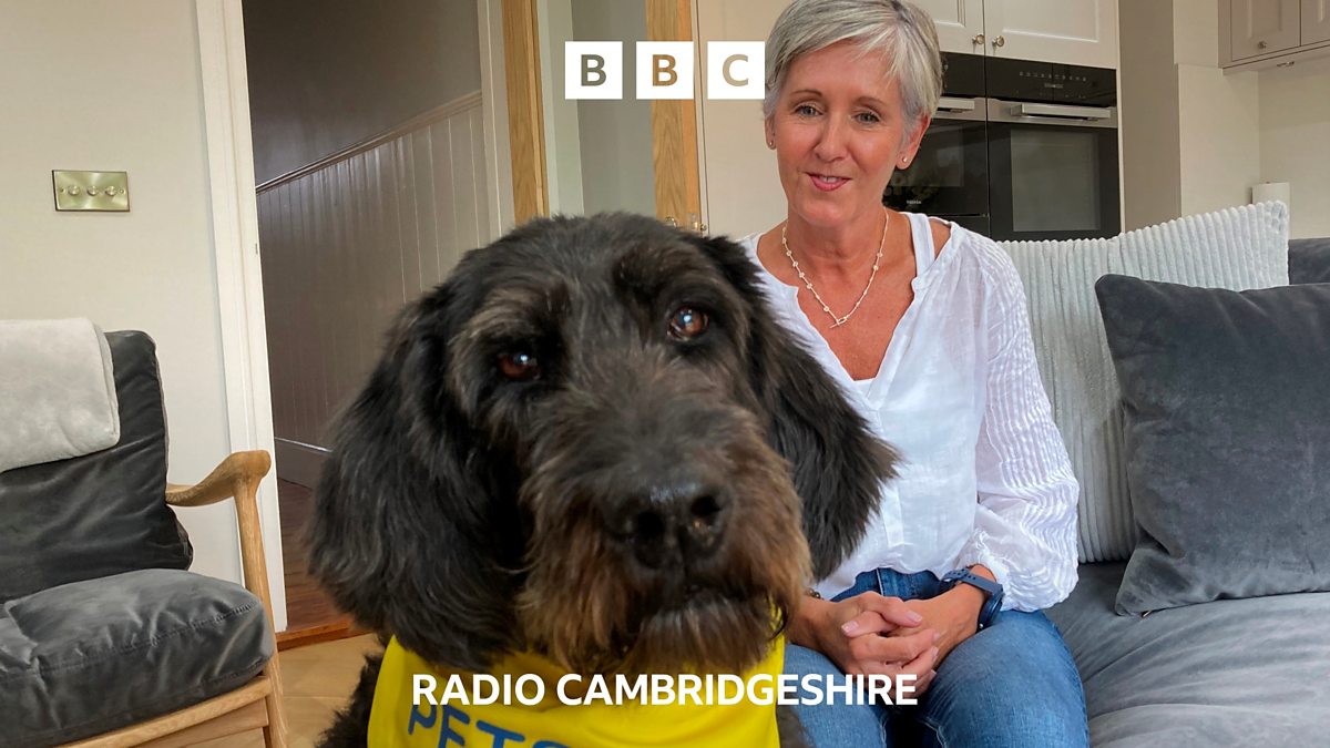 BBC Radio Cambridgeshire - BBC Radio Cambridgeshire, Poppy power