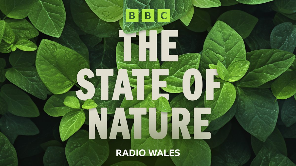 BBC Radio Wales - The State of Nature