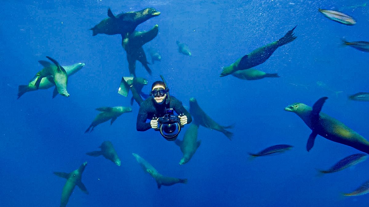 Deadly 60 - BBC iPlayer