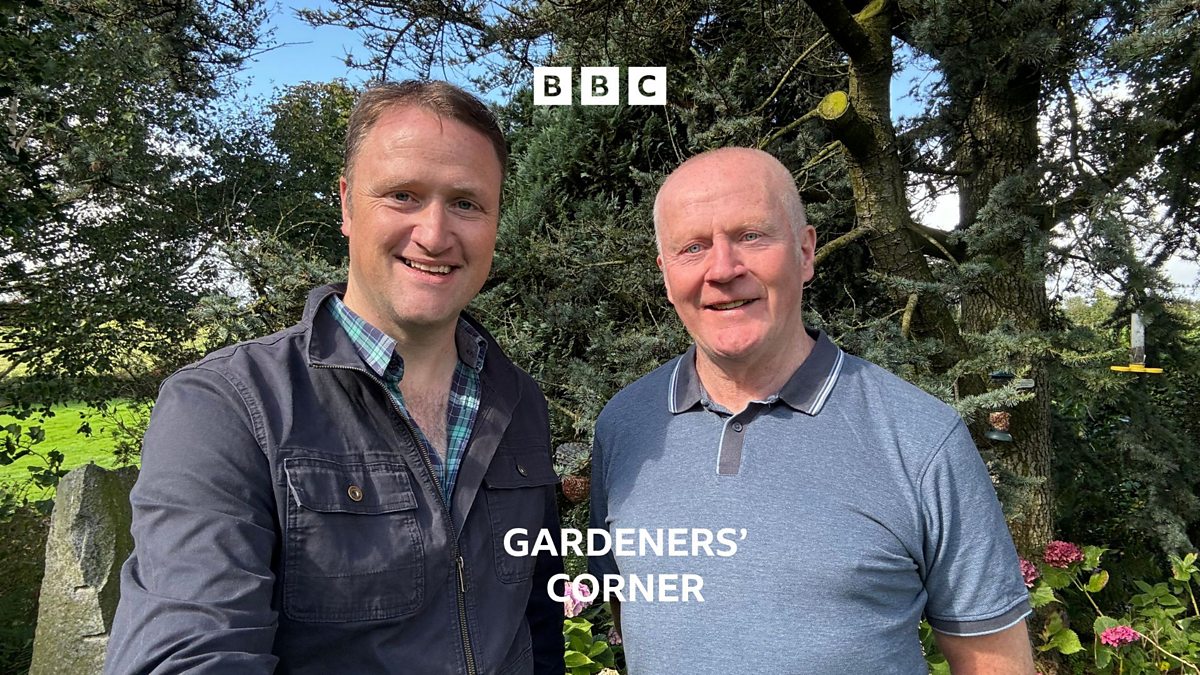 BBC Radio Ulster - Gardeners' Corner, Growing and using blackberries, a backyard botanics and ...