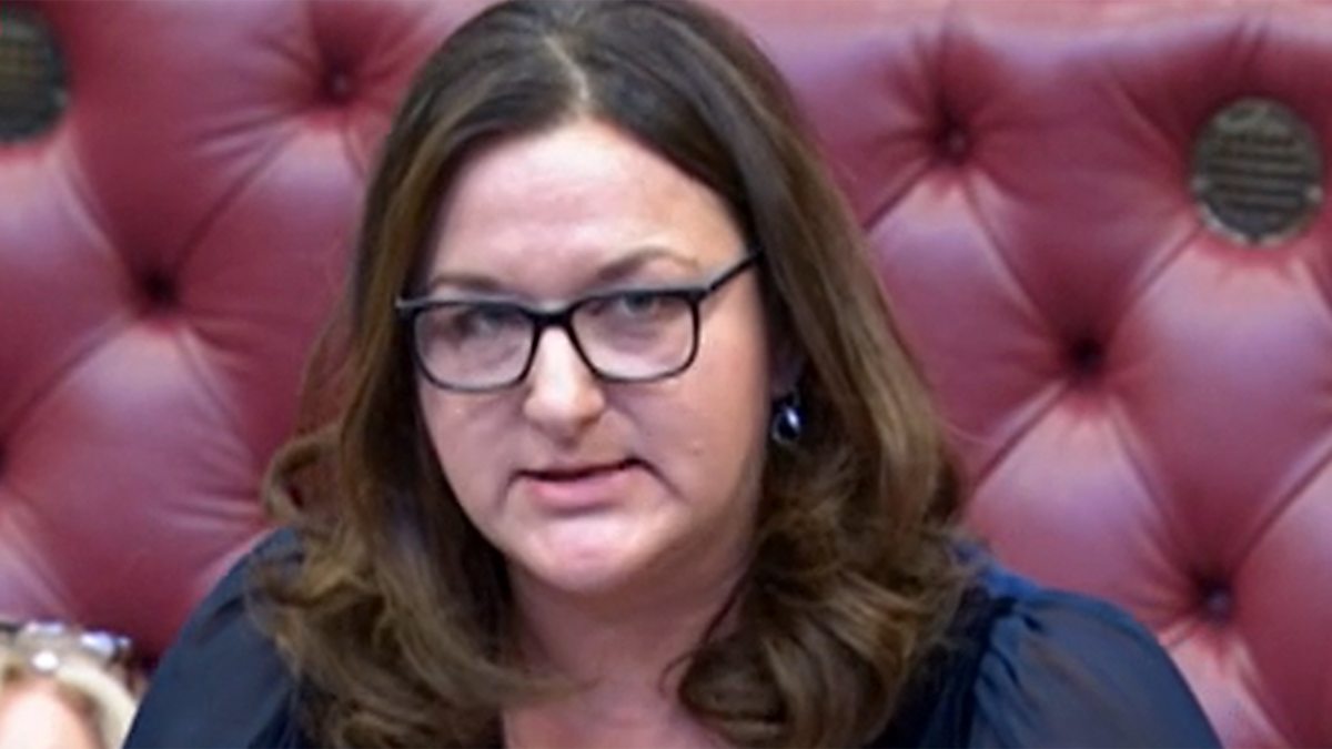 House of Lords - Murder of Patrick Finucane Statement - BBC iPlayer