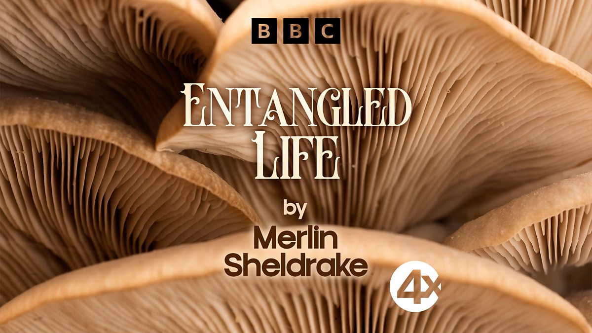 BBC Radio 4 Extra - Entangled Life by Merlin Sheldrake (Omnibus)