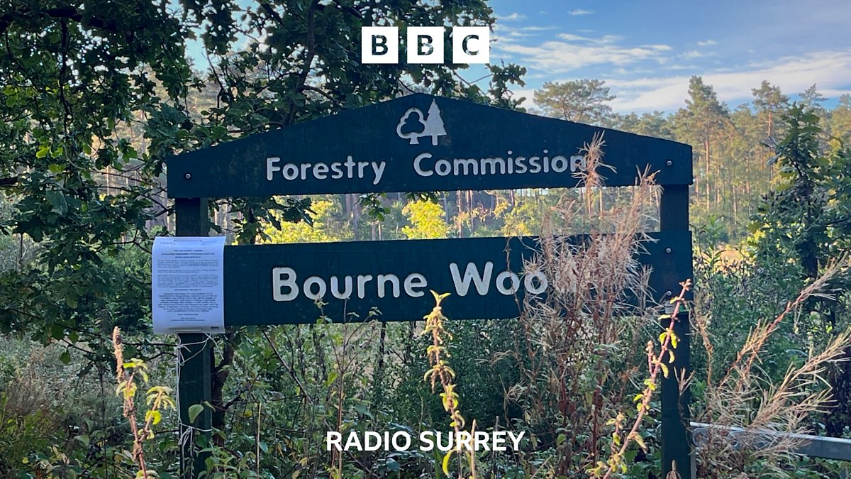 BBC Radio Surrey - BBC Radio Surrey, Parking charges in Surrey's top ...