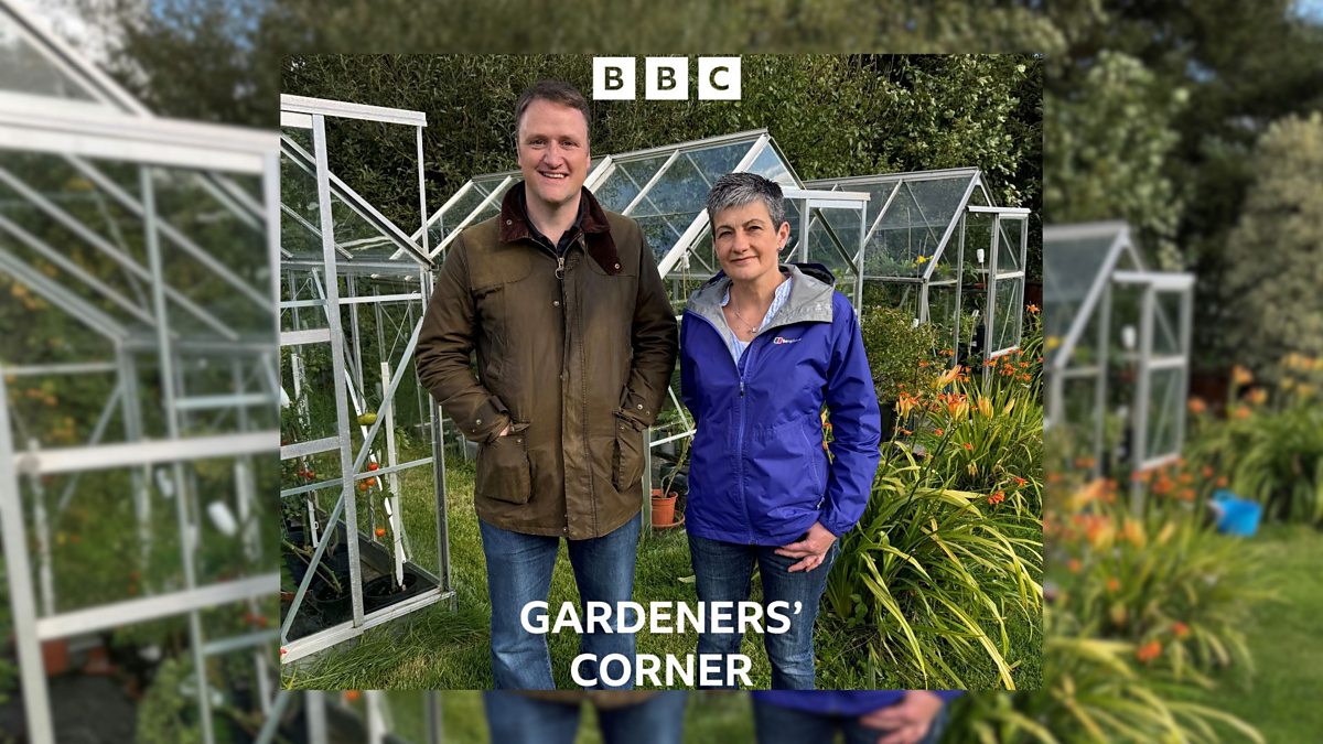 BBC Radio Ulster - Gardeners' Corner, How to preserve your summer veg ...