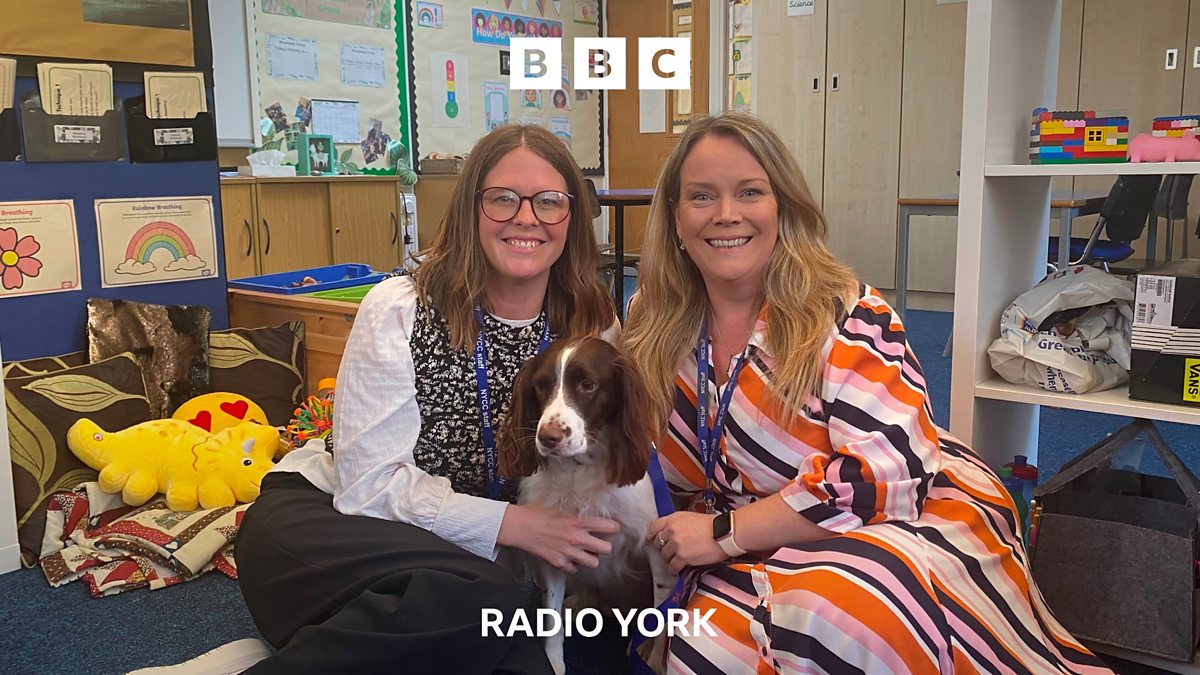 BBC Radio York - BBC Radio York, Maya: The Selby dog who's best in class