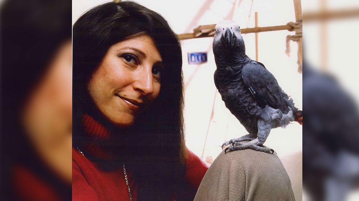 BBC World Service - Outlook, Parrot power: The woman who revealed birds ...