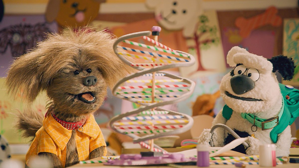 Dodges Pup School - Series 1: 9. Feeling Arty - BBC iPlayer