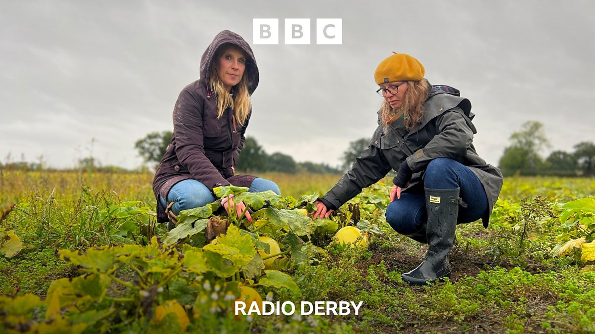 BBC Radio Derby - BBC Radio Derby, Pumpkin problems