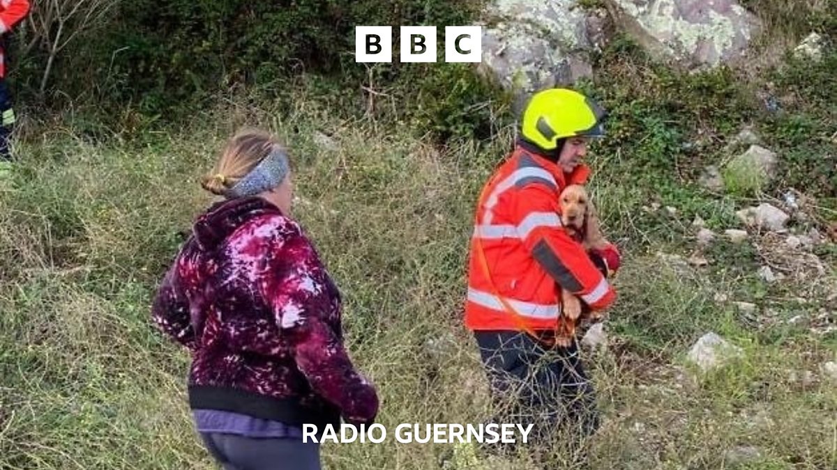 BBC Radio Guernsey - BBC Radio Guernsey, Dog rescued from cliff face in Alderney quarry