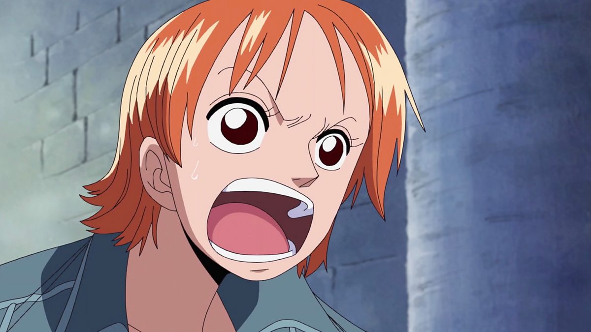 One Piece - Water Seven (207-325): 273. Everything Is To Protect My ...
