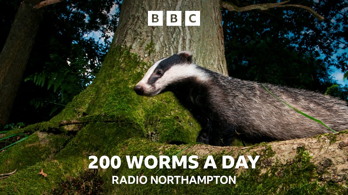 BBC Radio Northampton - BBC Radio Northampton, Brocktober: A year in ...