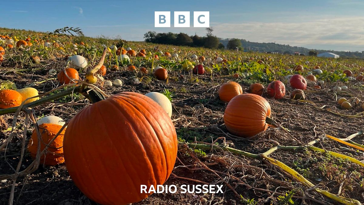 BBC Radio Sussex - BBC Radio Sussex, Pumpkin season comes to Sompting