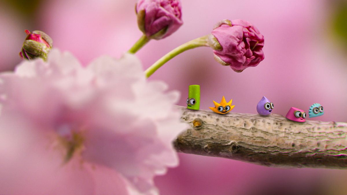 CBeebies - Tiny Wonders, Series 4 - Episode guide