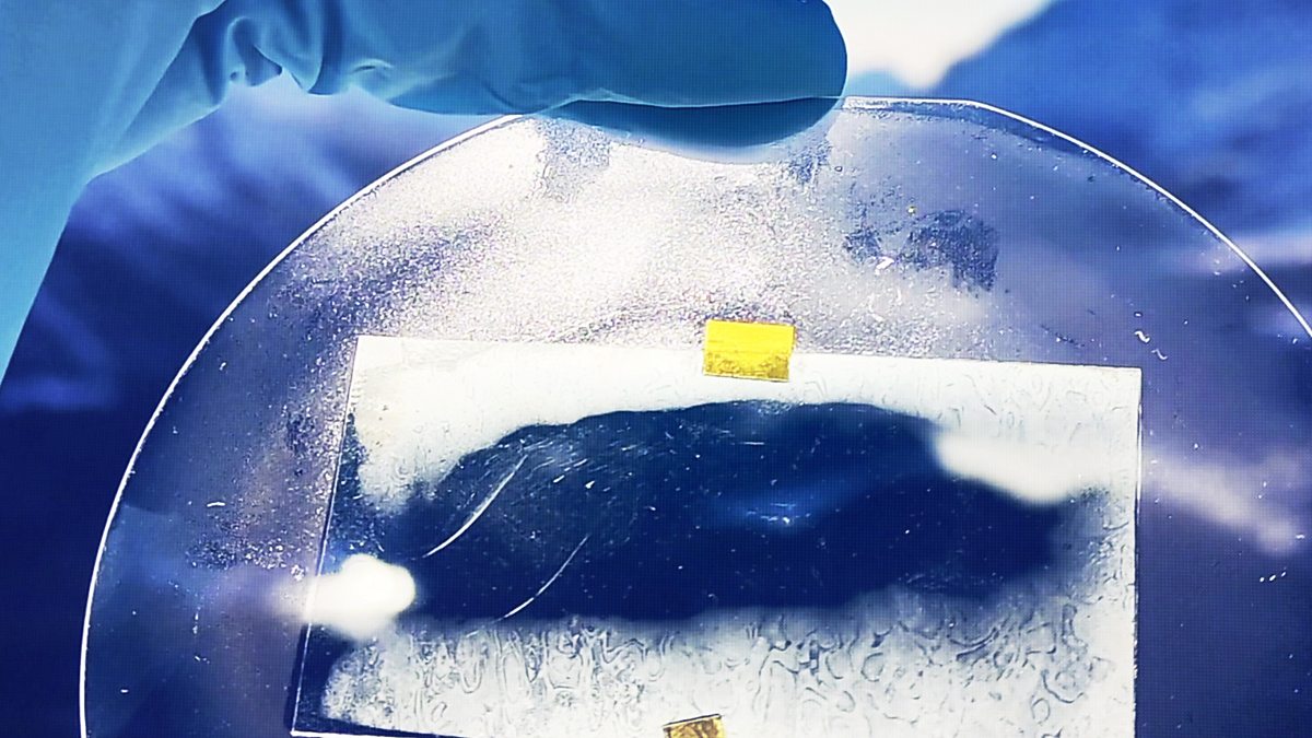 BBC News - Click, High Tech Specs