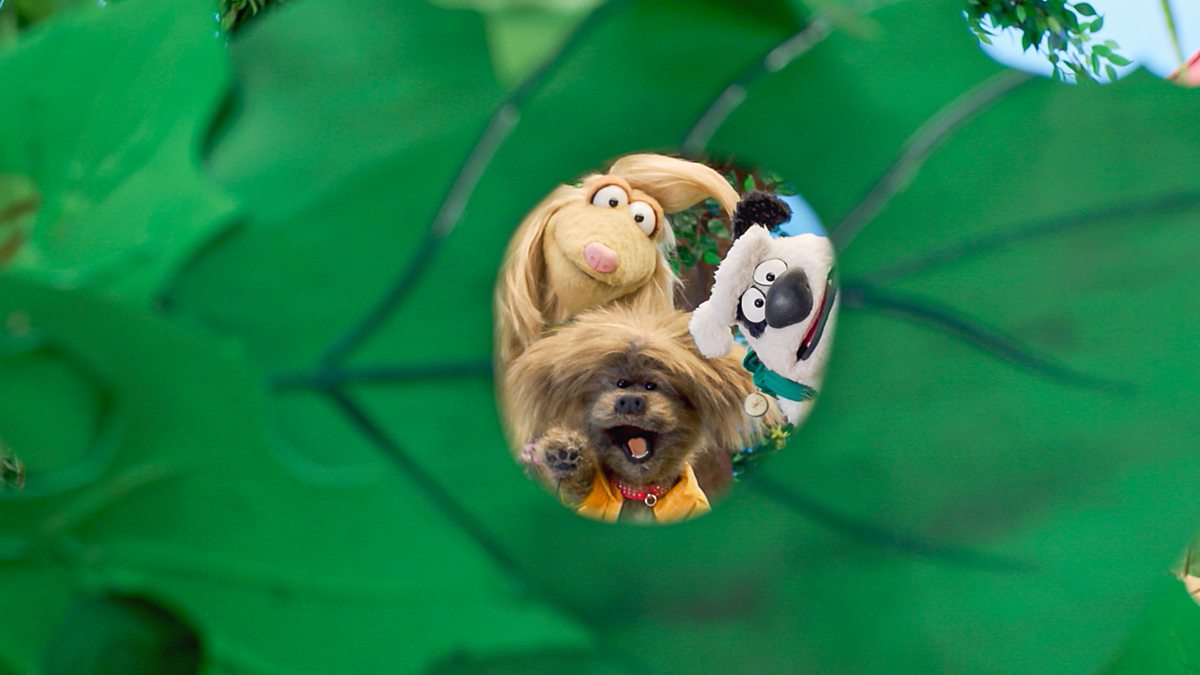 Dodges Pup School - Songs: 7. The Garden Monster - Dodge The Dog Is On ...