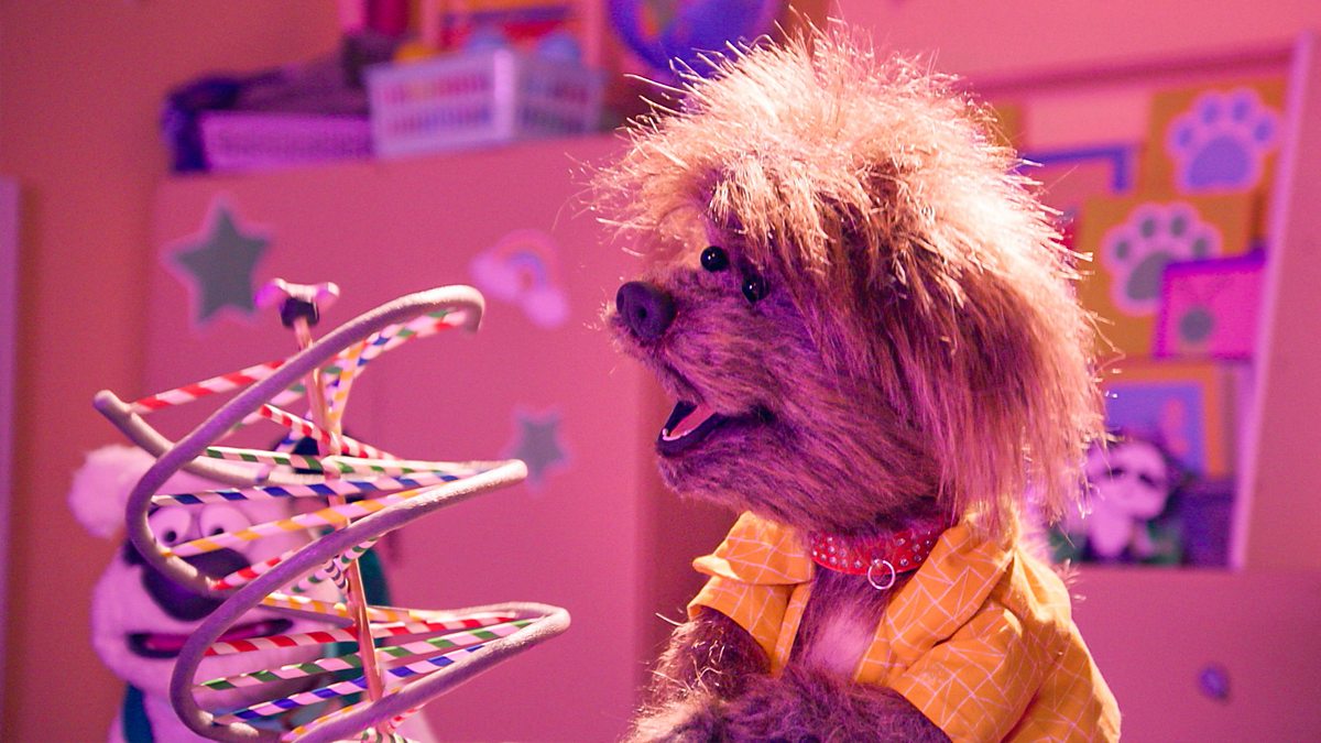 Dodges Pup School - Songs: 9. Feeling Arty - I Need A Fantastic Idea ...