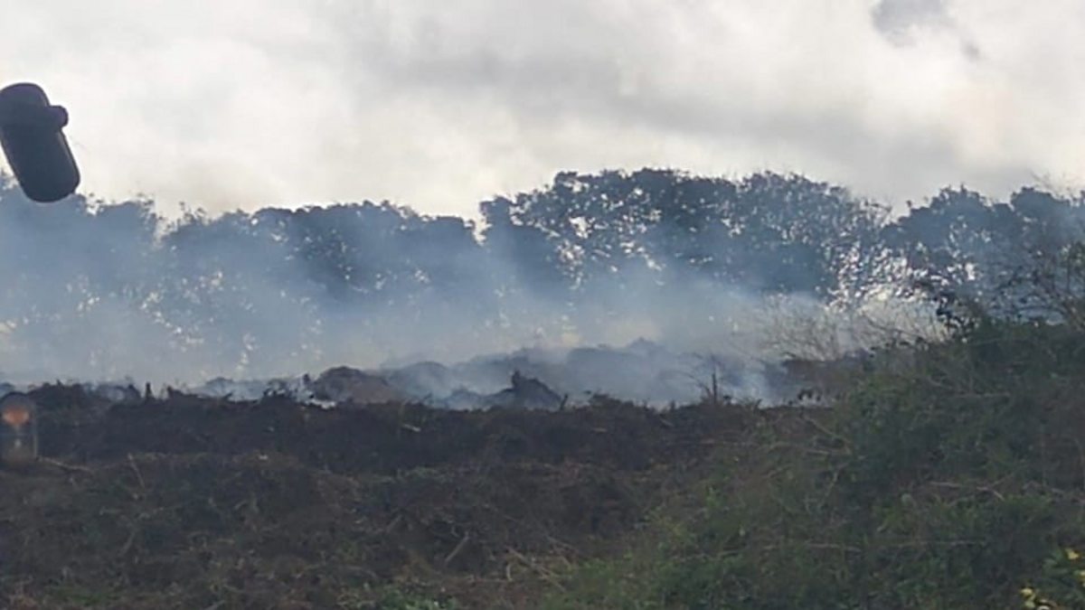 BBC Radio Cornwall - Julie Skentelbery, 08/10/2024, Tackling the large ...