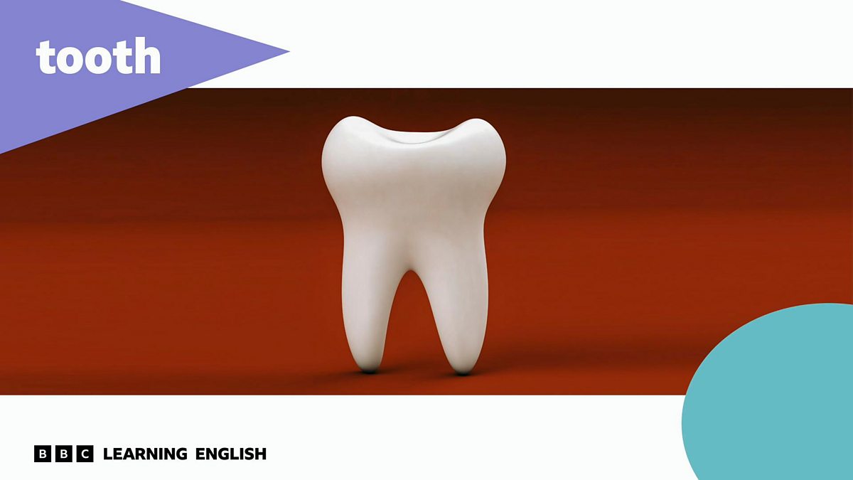 BBC - BBC Learning English, 100 words - body parts - tooth
