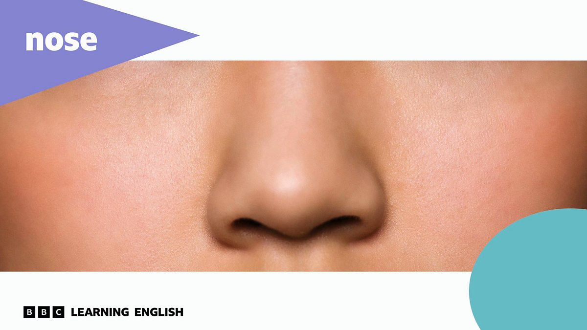BBC - BBC Learning English, 100 words - body parts - nose