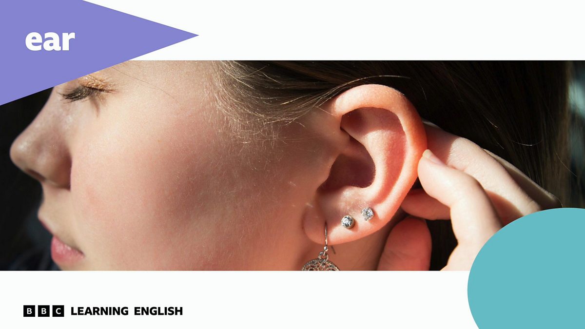 BBC - BBC Learning English, 100 words - body parts - ear