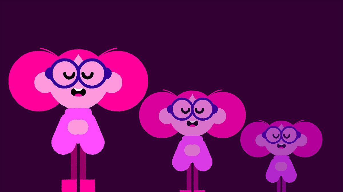 Maddie & Triggs - Series 1: 6. Echoes - Signed - BBC iPlayer