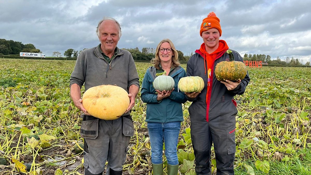 BBC Radio 4 - On Your Farm, Pumpkins and Play Barns