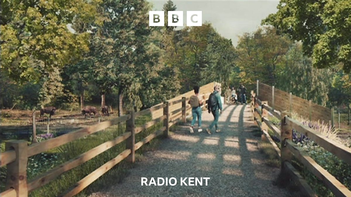 BBC Radio Kent - BBC Radio Kent, The bison bridges of West Blean Woods