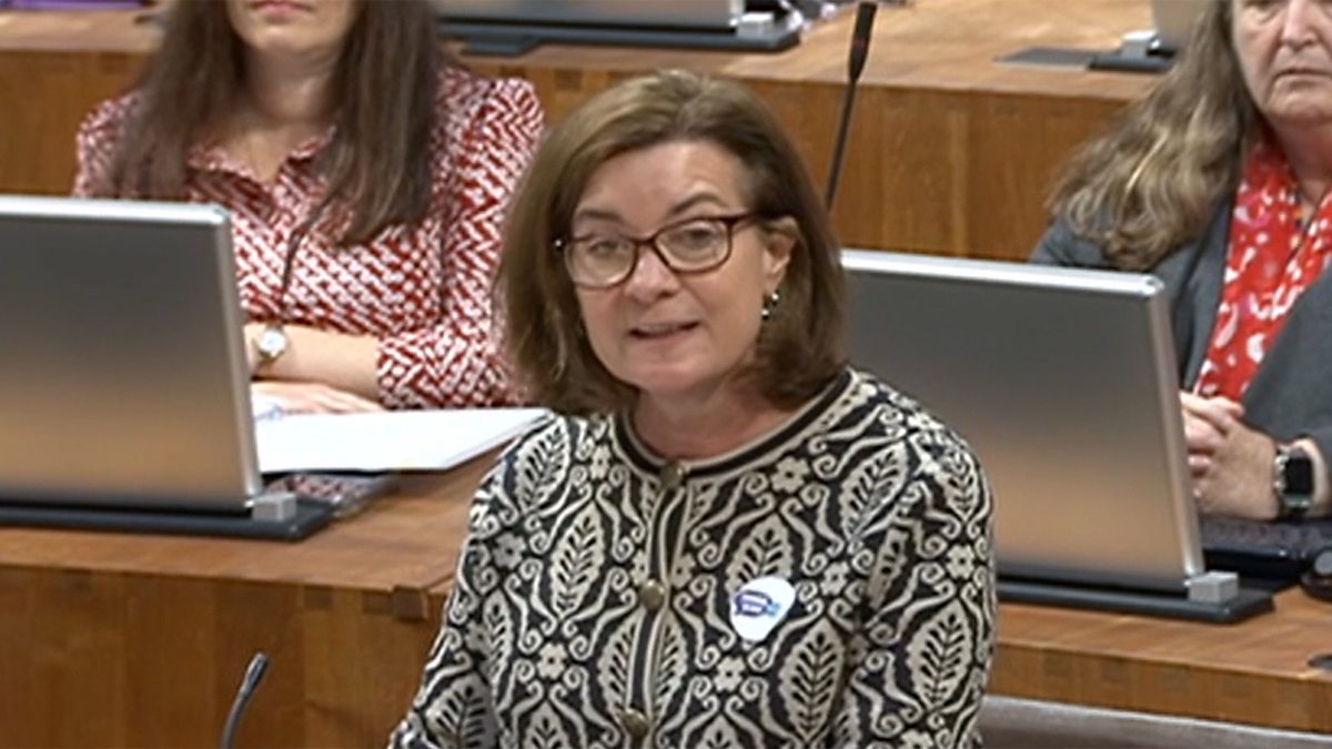 Welsh First Ministers Questions - 15/10/2024 - BBC iPlayer