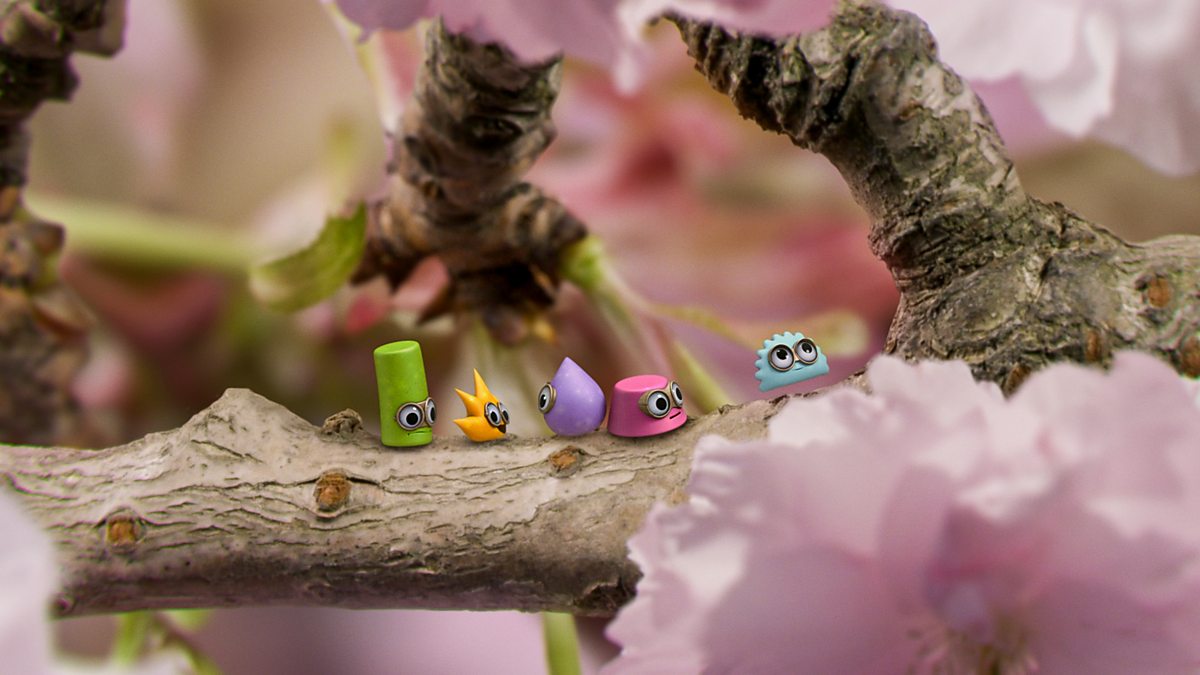 Tiny Wonders - Series 4: 6. Blossom - BBC iPlayer