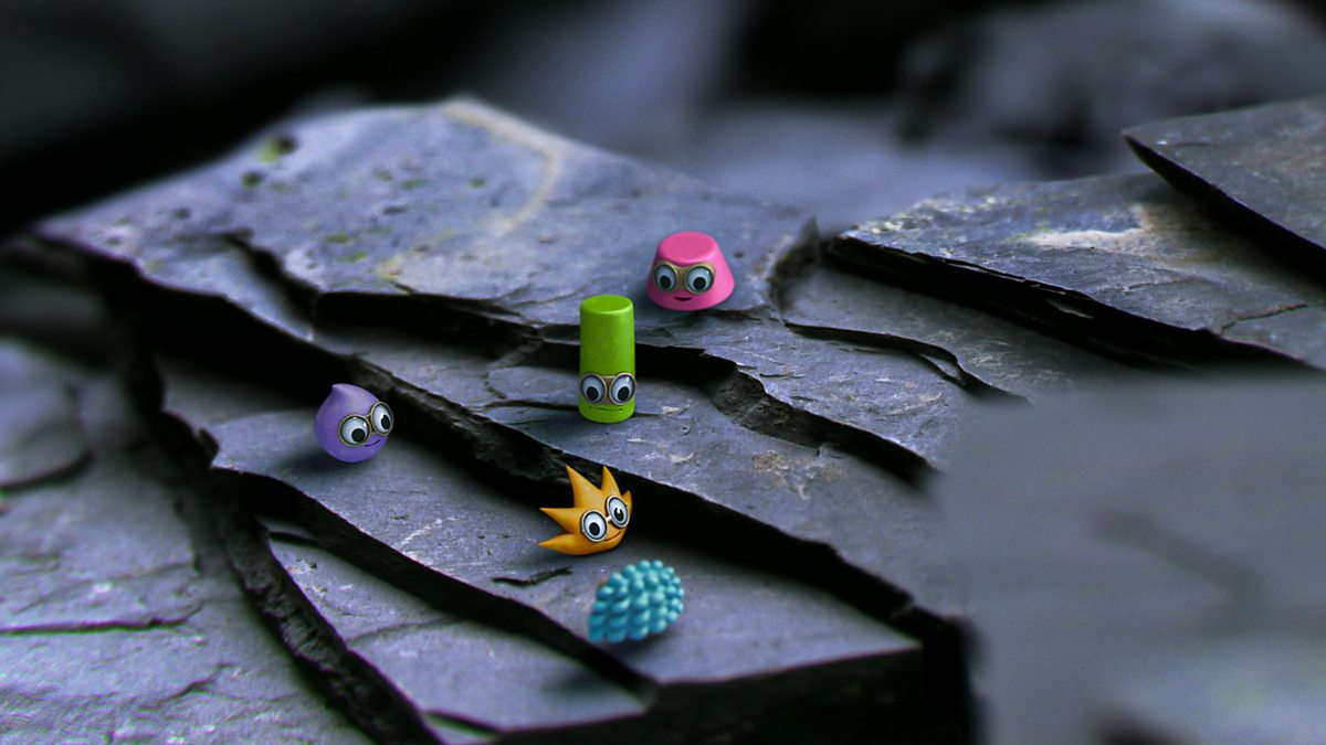 Tiny Wonders - Series 4: 9. Shale - BBC iPlayer