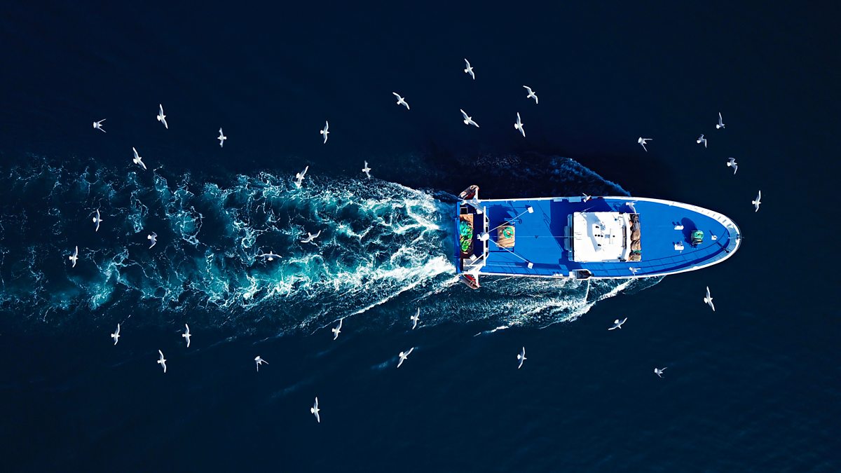 BBC World Service - Science In Action, Marvels of life and death