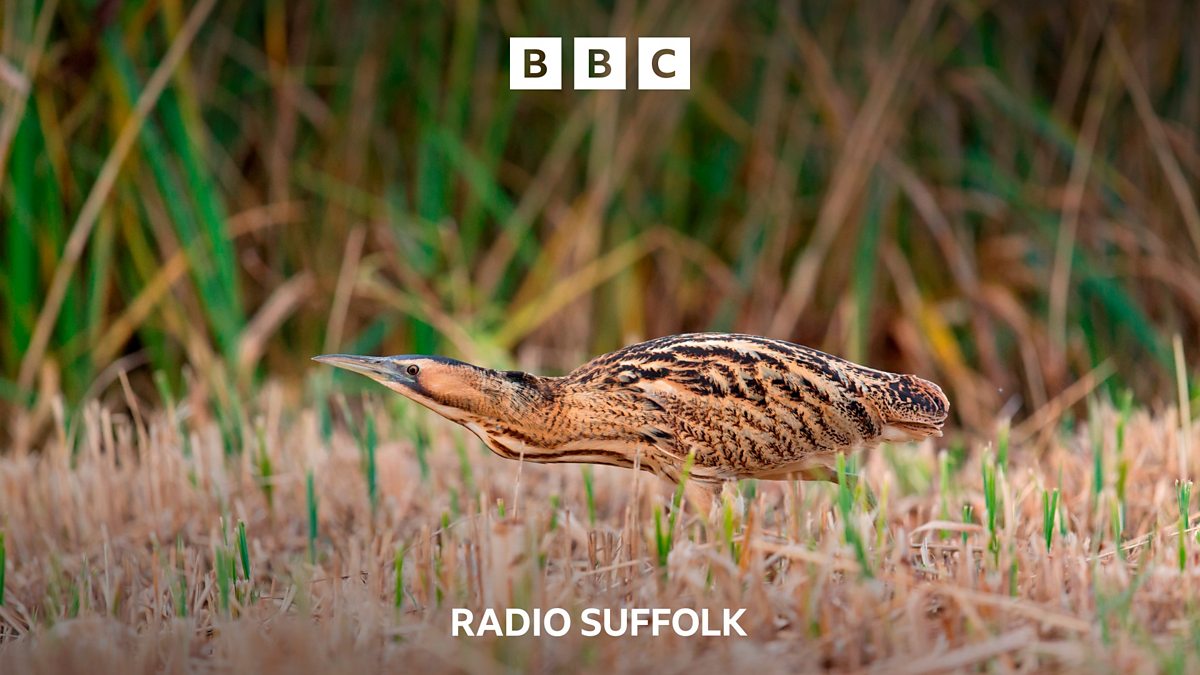 BBC Radio Suffolk - BBC Radio Suffolk, Suffolk: A top worldwide destination