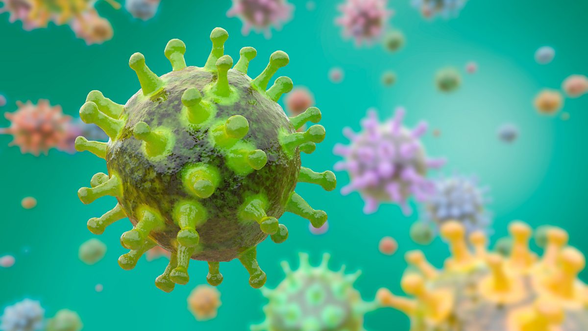 BBC World Service - The Evidence, Would you get sick for science?