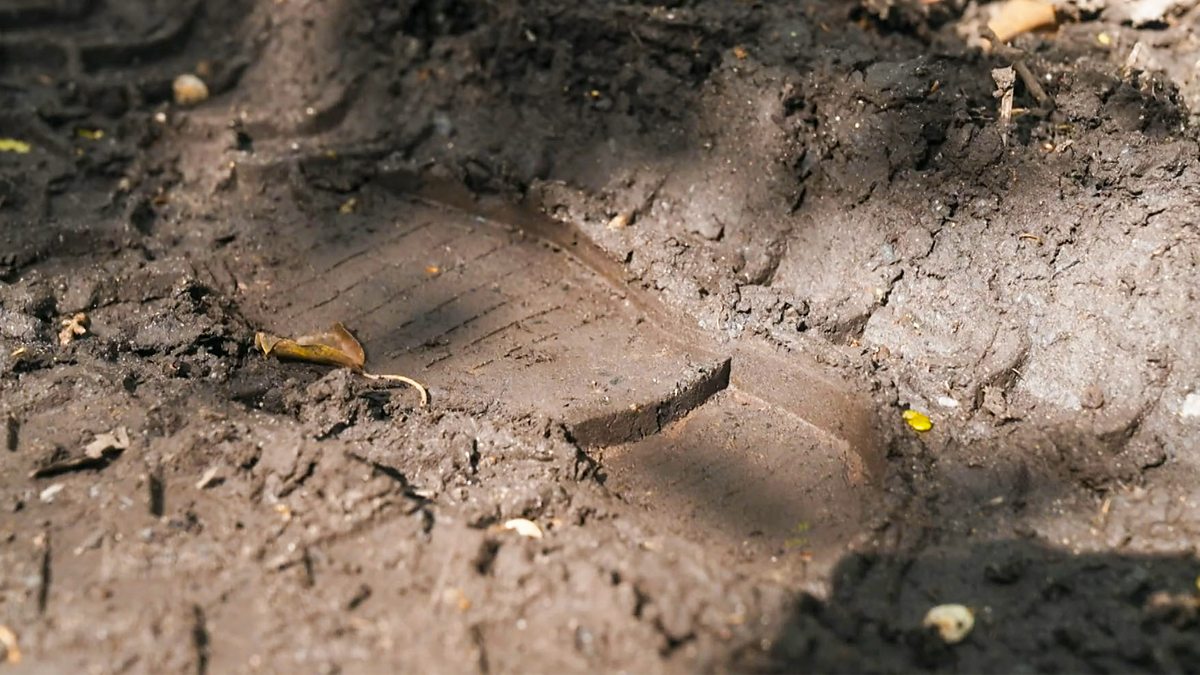 BBC One - Expert Witness, Series 4, The Rachel Nickell Murder: Justice ...