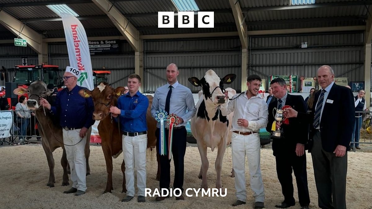 BBC Radio Cymru - Troi'r Tir, Sioe Laeth Cymru 2024