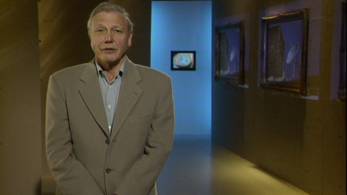 BBC - History of the BBC, An Evening With David Attenborough, 1994