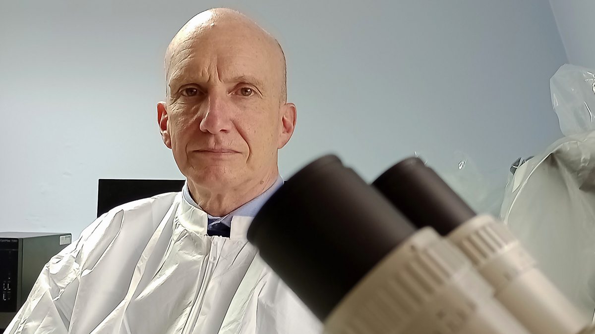 Expert Witness - Series 4: 11. Blood on the Carpet - BBC iPlayer