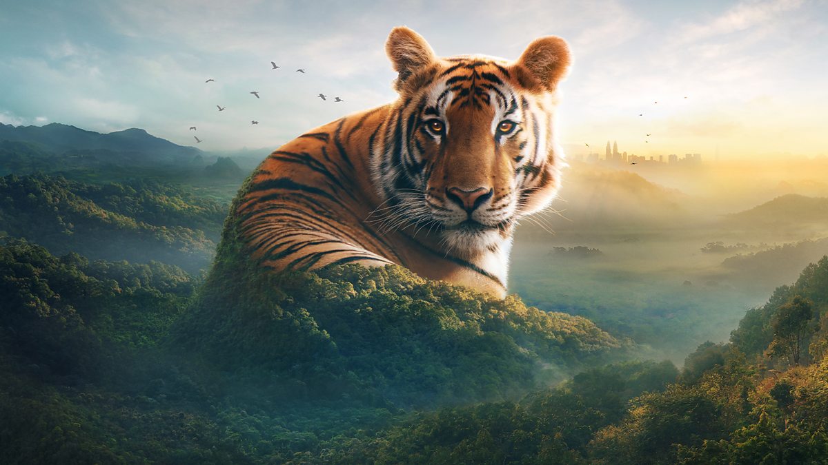 BBC One - Asia, Series 1, Beneath the Waves - Asia on location