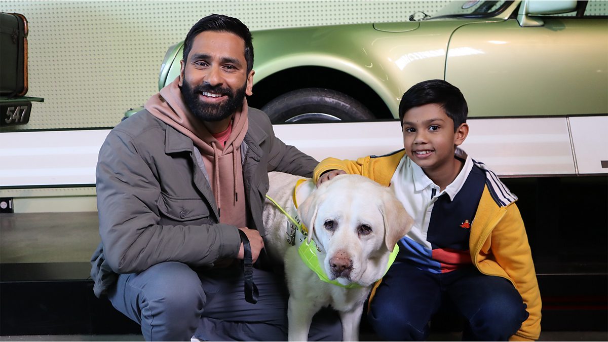 Dog Squad - Series 3: 1. Mission: Transport Museum - BBC iPlayer