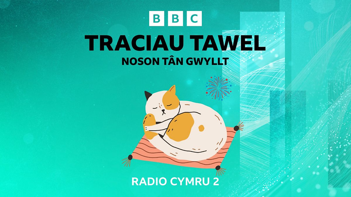 BBC Radio Cymru 2 - Traciau Radio Cymru 2, Traciau Tawel Noson Tân Gwyllt