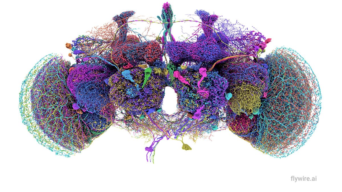 BBC World Service - Newshour, Alcohol "abundant" in the natural world ...