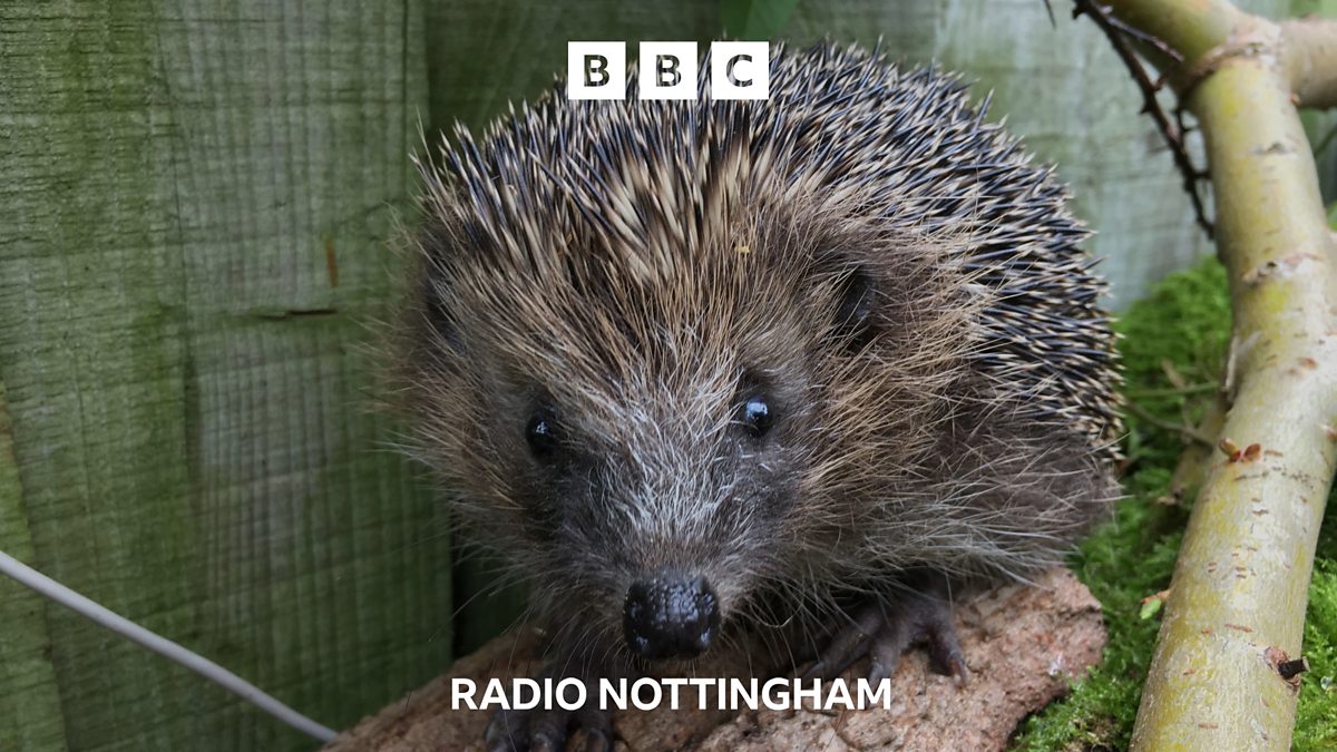 BBC Radio Nottingham - BBC Radio Nottingham, People reminded to check ...