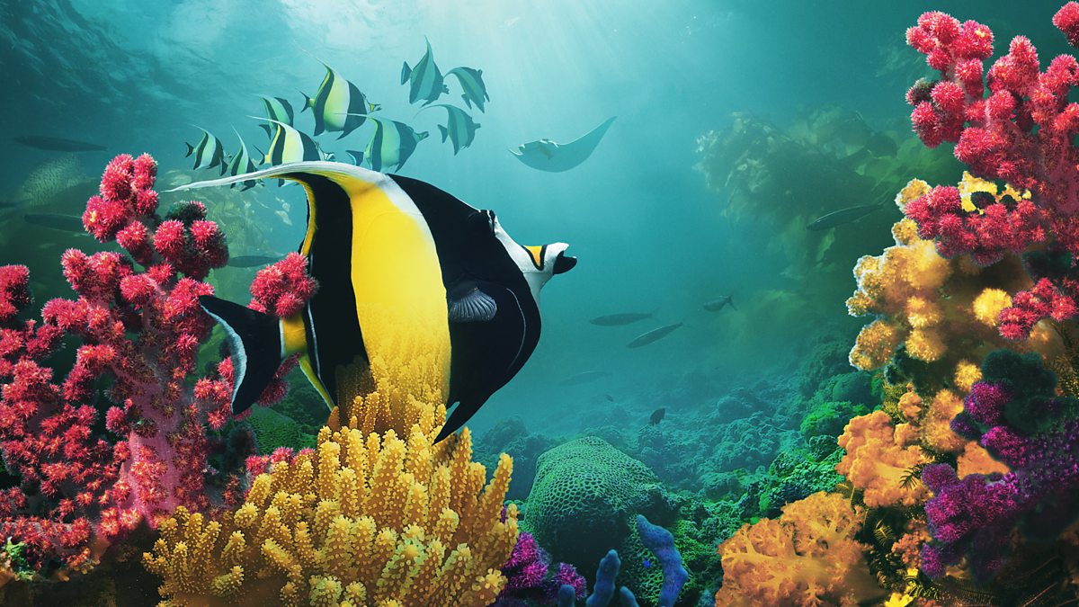 BBC One - Asia, Series 1, Beneath the Waves, Asia Trailer (short)