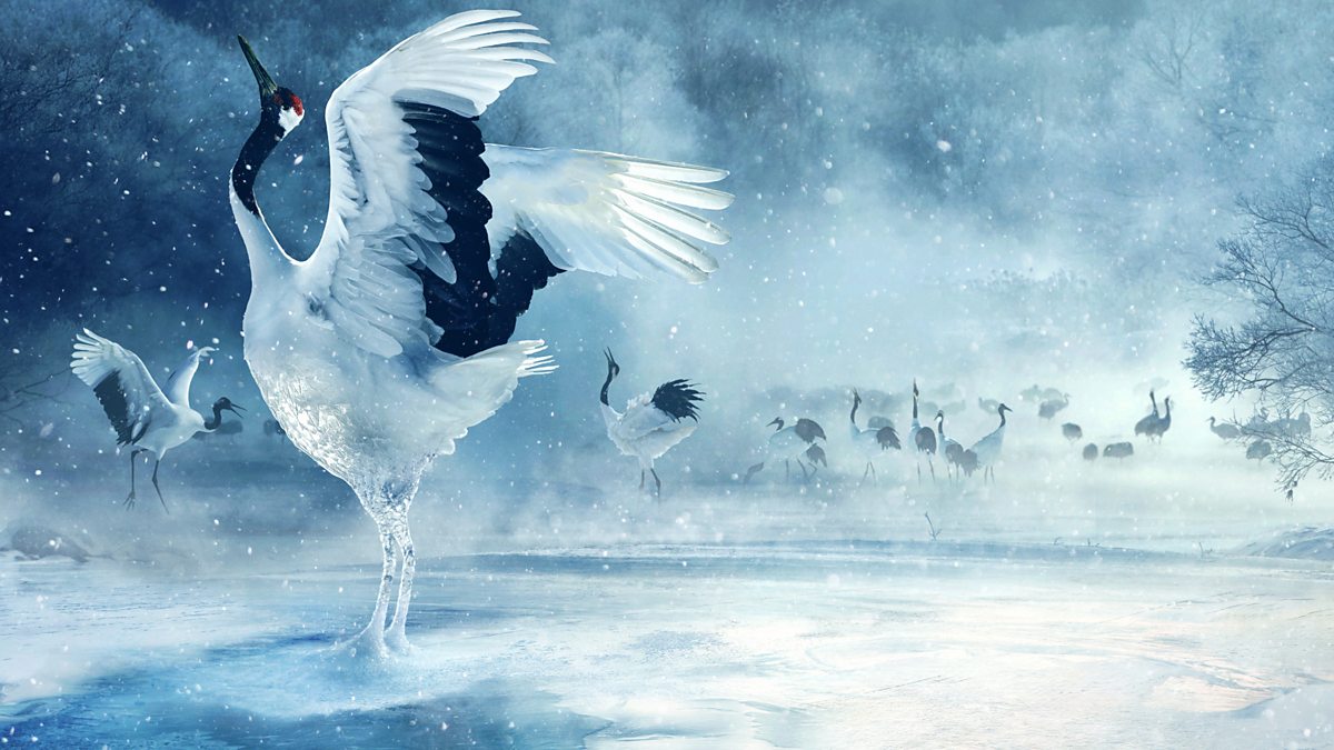 Asia - Series 1: 3. The Frozen North - Audio Described - BBC iPlayer